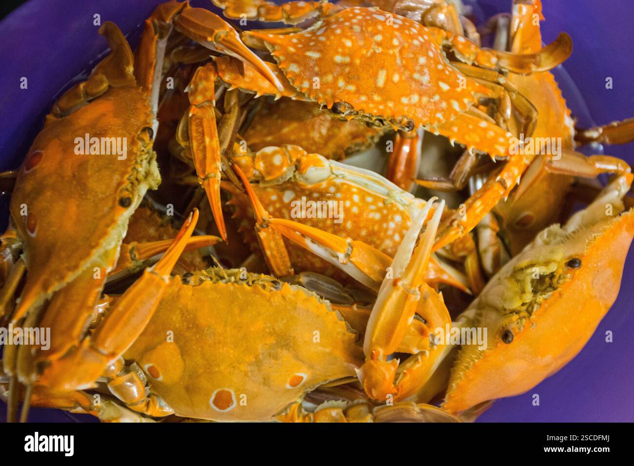 Sale of crabs in the markets of different cities of Goa and other ...