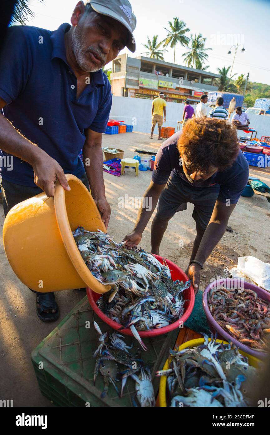 India, Goa, 17 March 2017. Fish and other seafood in the markets of Goa ...