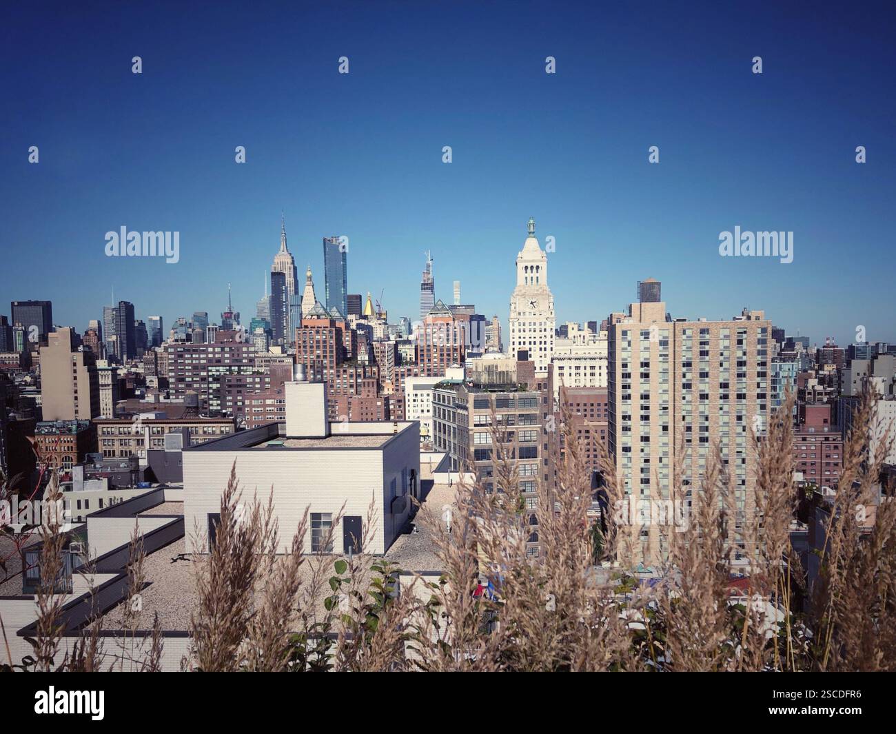 Cityscape View of Tribeca Neighborhood, Lower Manhattan, NYC with ...