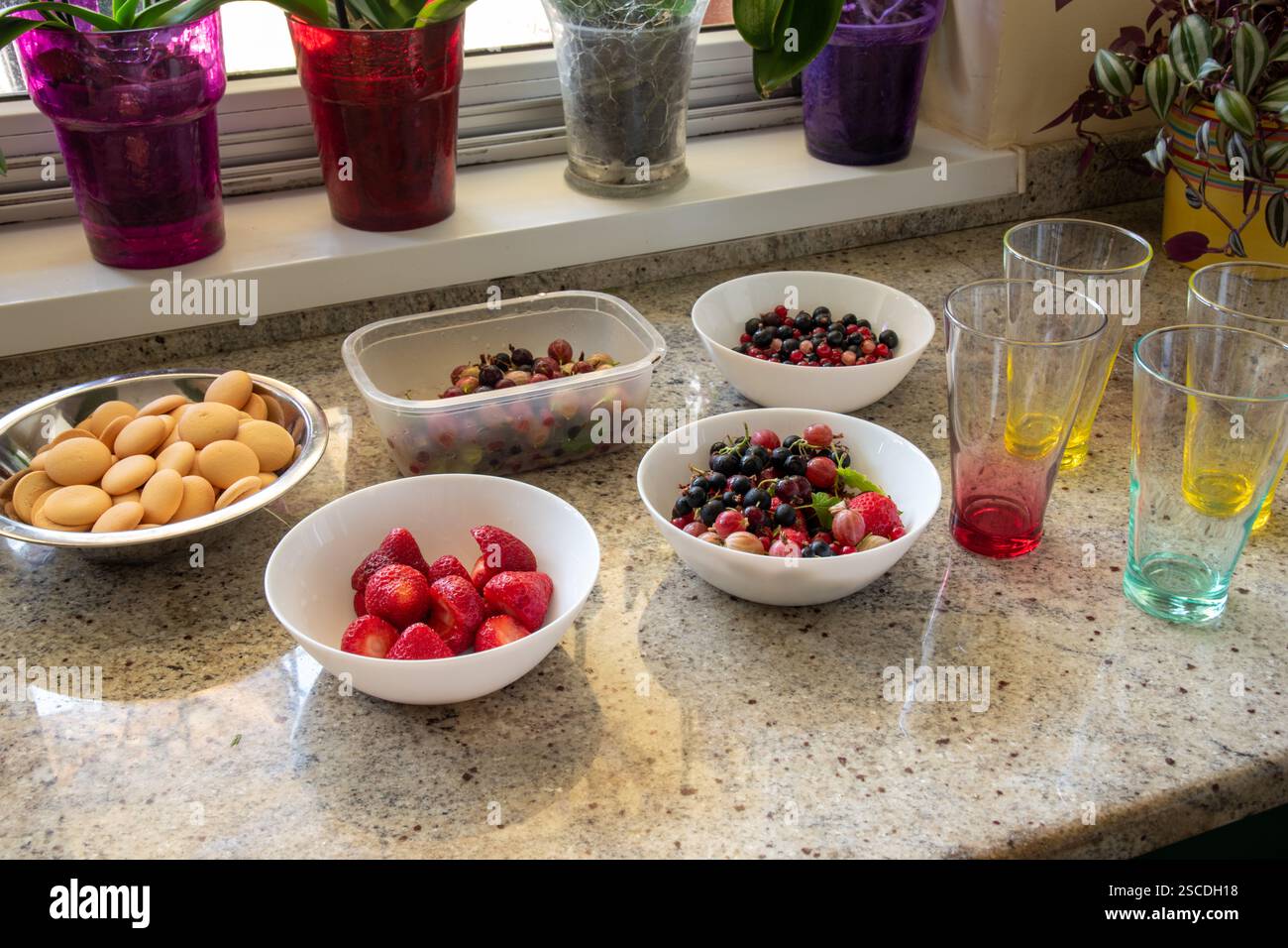 dessert ingredients-strawberry,blueberries, cream, biscuit and grasses ...