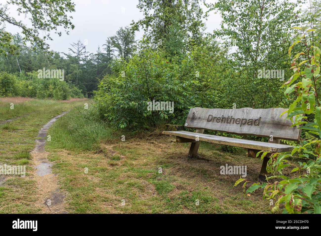 Gees, The Netherlands - June, 21, 2024: Wooden bench with Dutch text ...