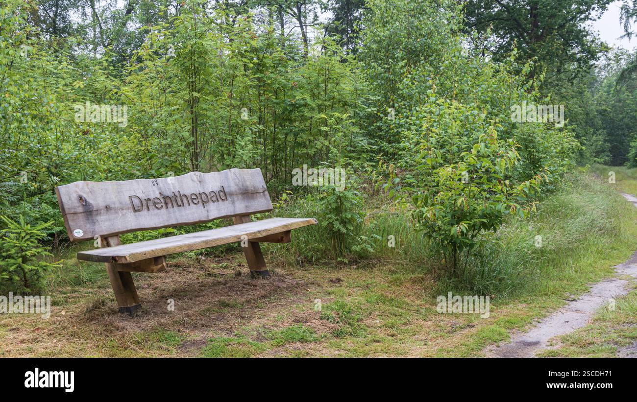 Gees, The Netherlands - June, 21, 2024: Wooden bench with Dutch text ...
