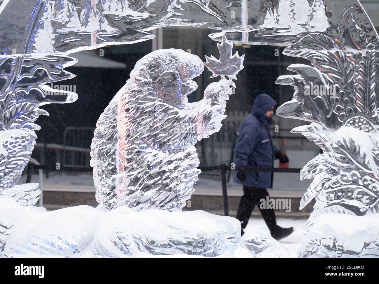 Ottawa, Canada. 06th Feb, 2025. A person walks past an ice sculpture of ...
