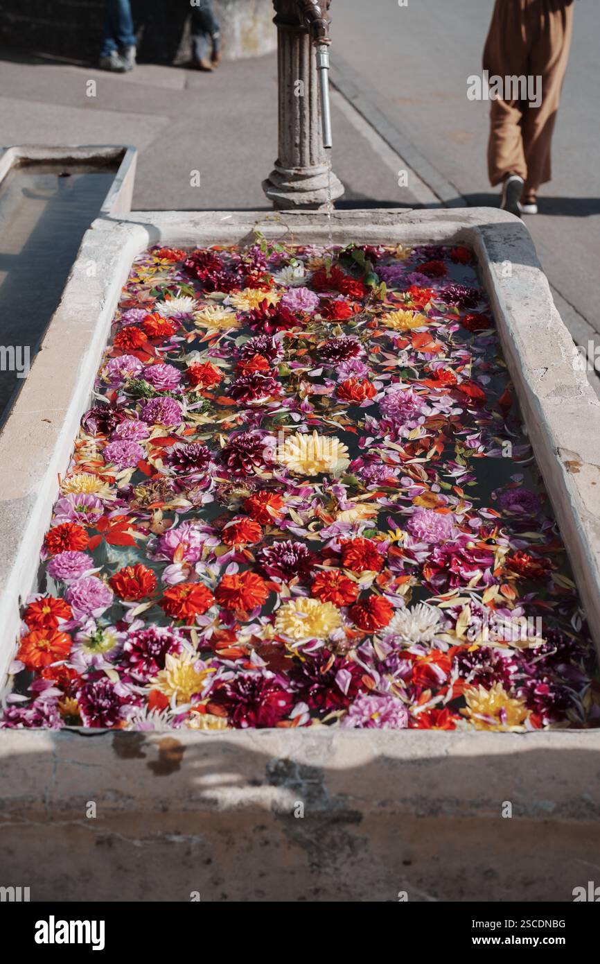 A tank of flowers. It was a day time in autumn in Switzerland Stock ...