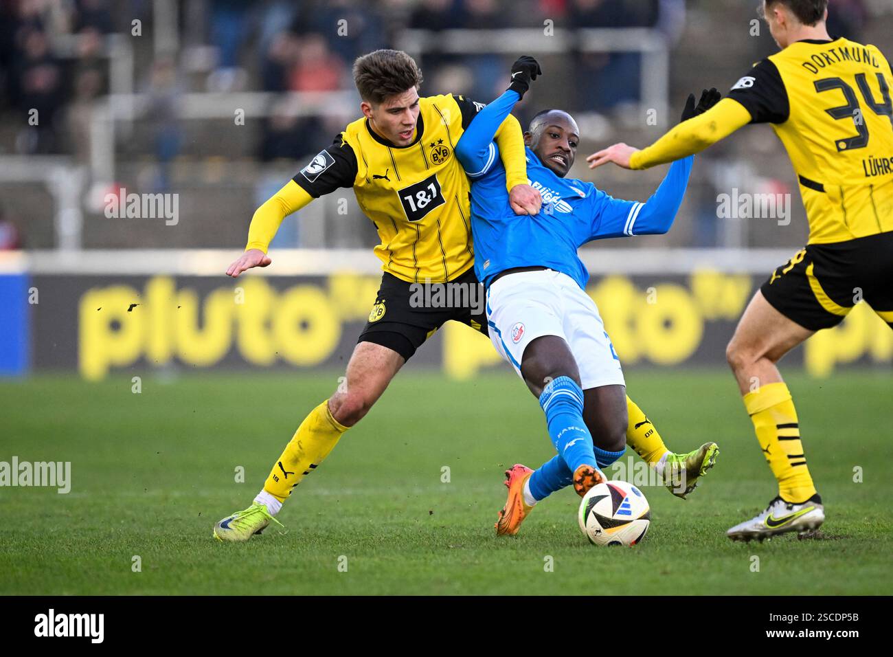 3. Liga - Borussia Dortmund II - Hansa Rostock am 01.02.2025 im Stadion ...