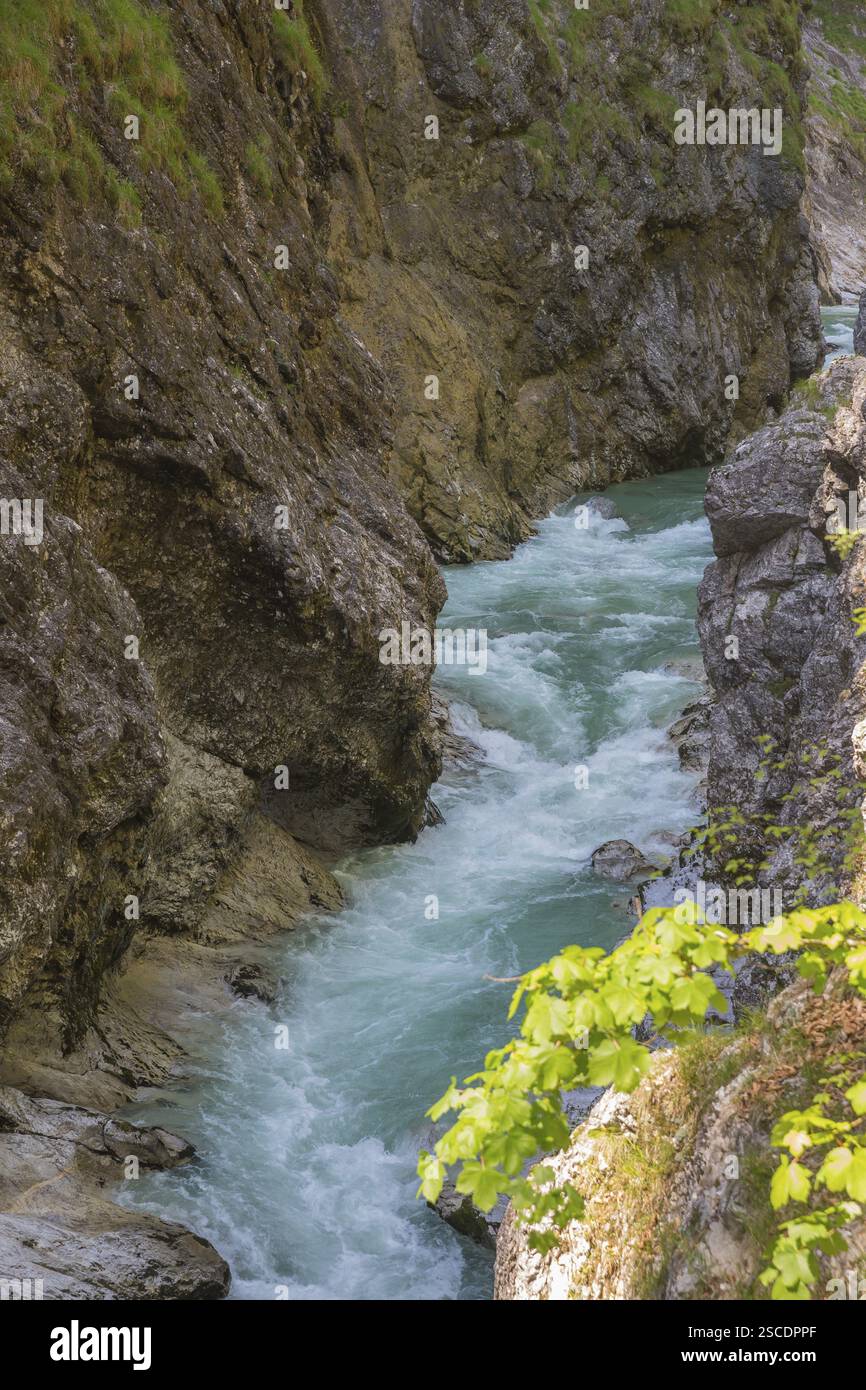 The Lammer creek is flowing fast through the Lammerklamm on a sunny ...