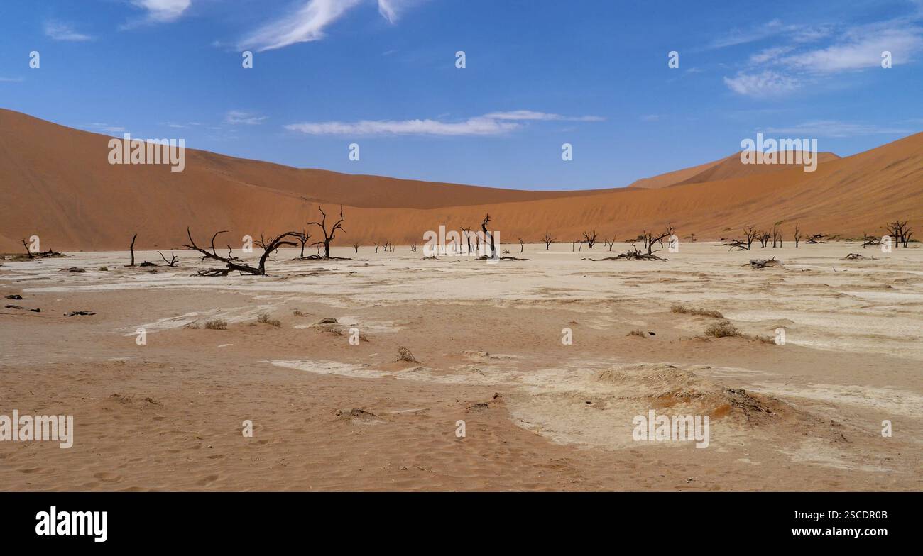 A dry desert landscape with withered trees under a blue sky, Dead camel ...