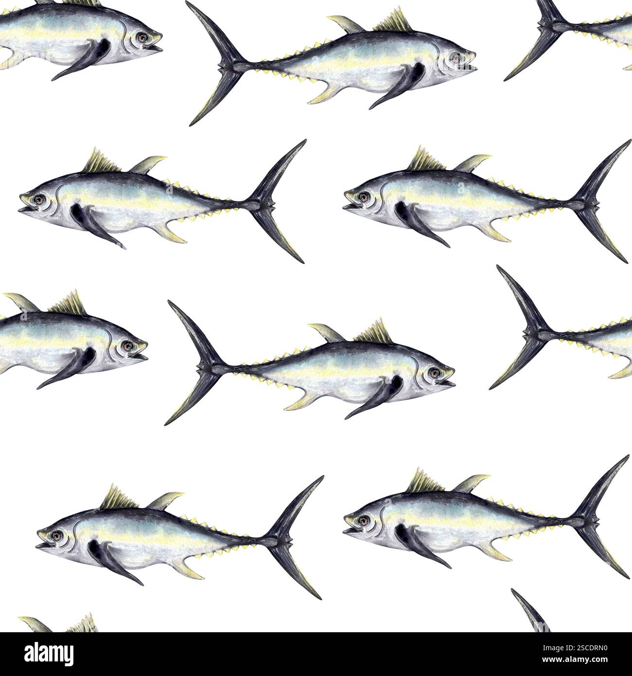 Seamless watercolor pattern of yellowfin tuna Stock Photo - Alamy