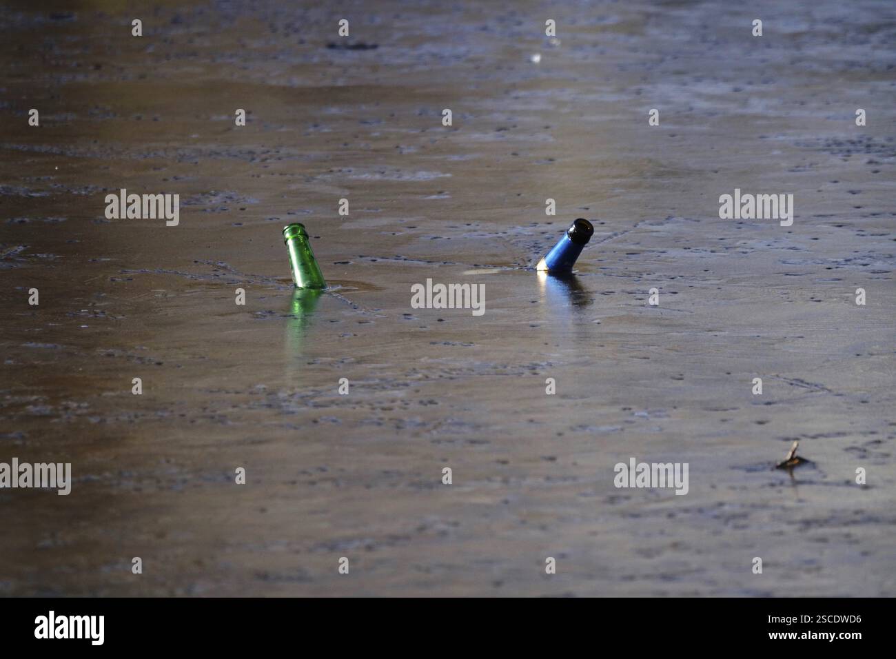 Discarded glass bottles in a frozen lake, winter, Germany, Europe Stock ...