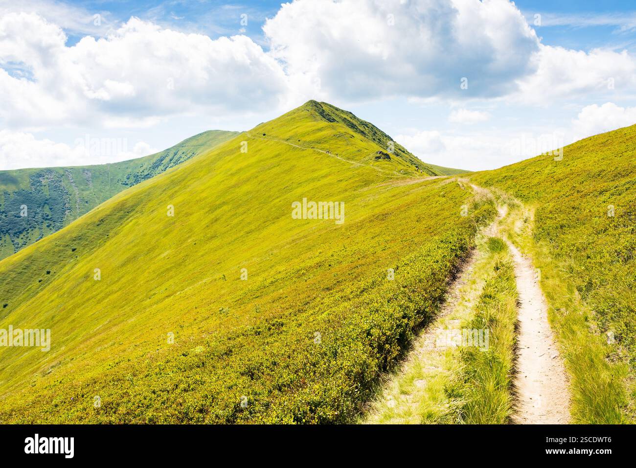 mountain landscape with path uphill. alpine environment. beautiful ...