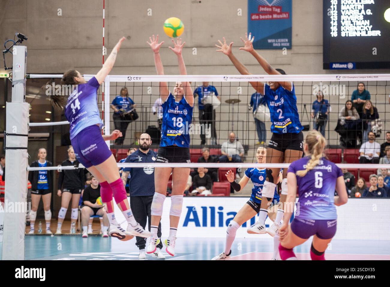 Monika Fedusio (KS DevelopRes Rzeszow, #14) vs. Pia Kaestner (Allianz MTV Stuttgart, #18) und ...