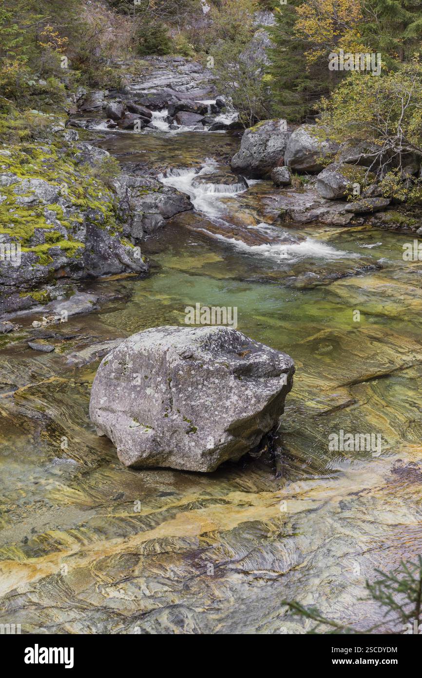 Pleisslingbach, located at the foot of the Melnikfall. Malta Hochalm ...