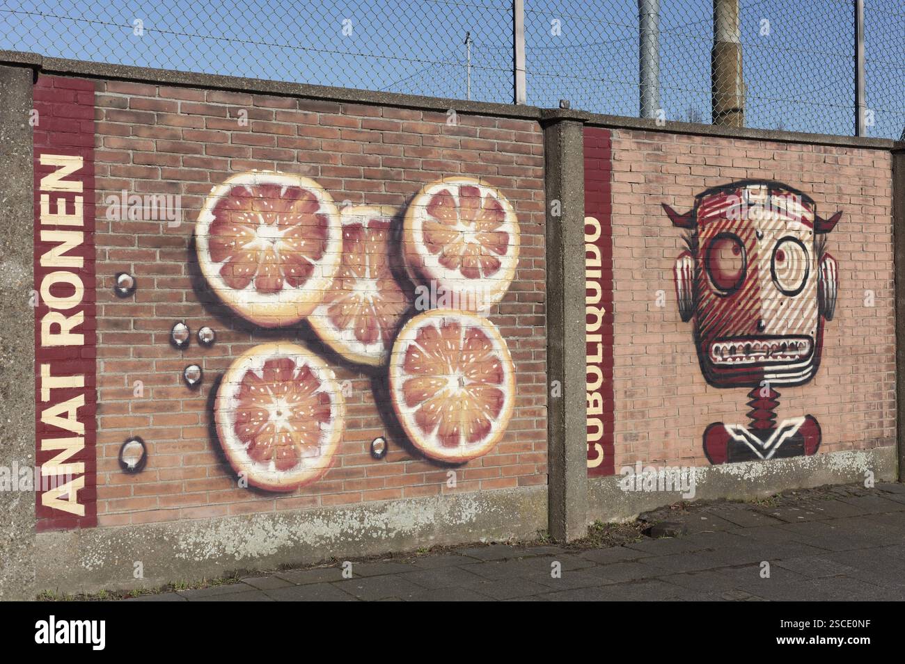 Orange slices, mural on a brick wall by street artist Anat Ronen, Urban ...