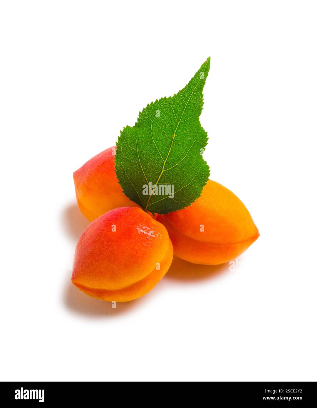 Sweet ripe bright apricots with leaves on a white background Stock ...