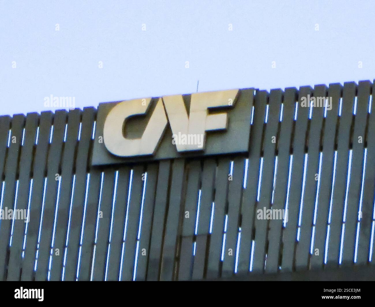 Camara Andina de Fomento CAF.Editorial, Editorial Ilustrative. Caracas ...