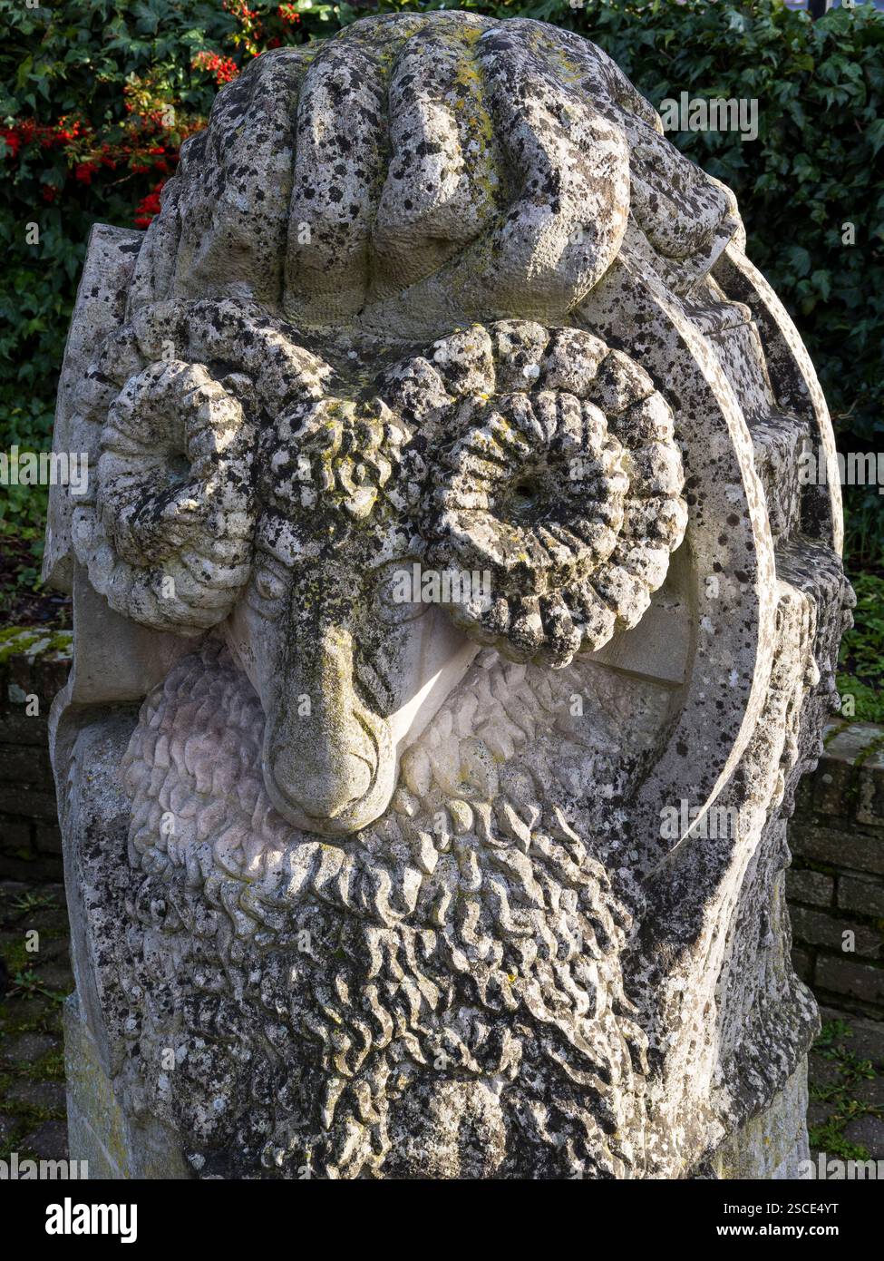 Ram Sculpture by James. Vans, Judy Swaffin Vans, High Street, Stroud, Gloucestershire, England ...