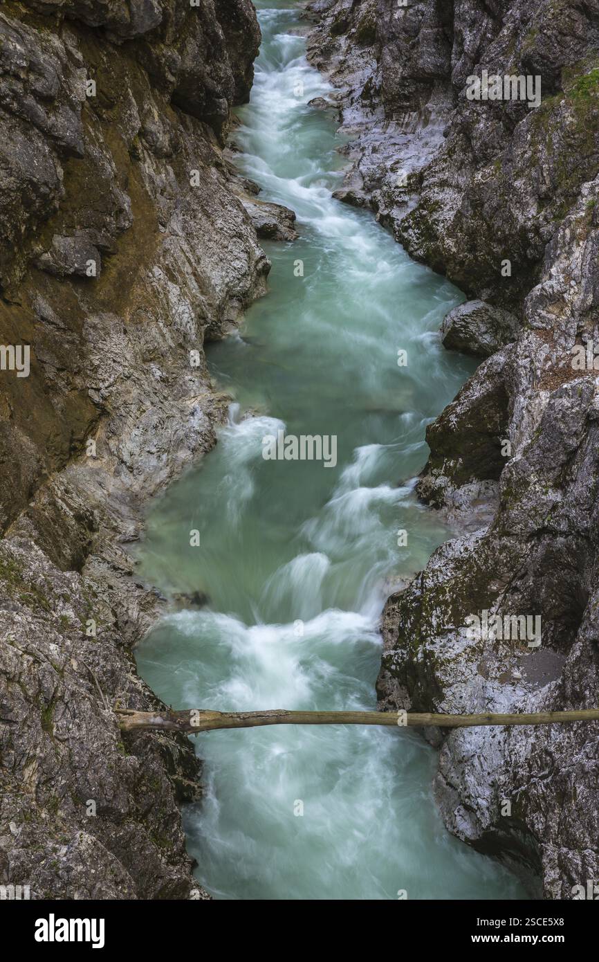 The Lammer creek is flowing fast through the Lammerklamm on a sunny ...