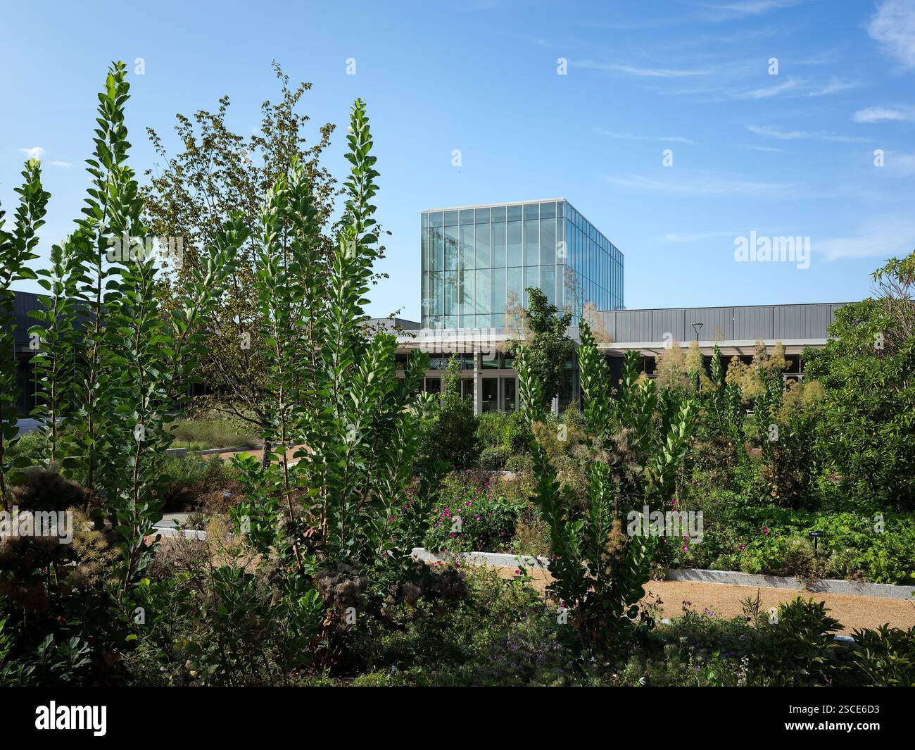 Missouri Botanical Garden - Jack C. Taylor Visitors Center, Location ...