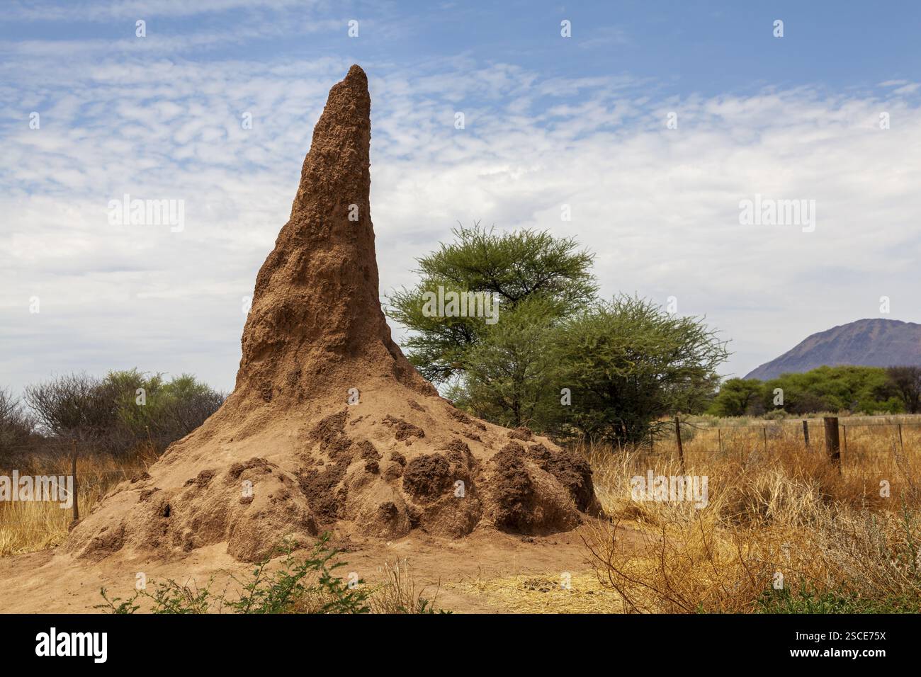 A high termite mound in a dry African savannah under a slightly cloudy ...