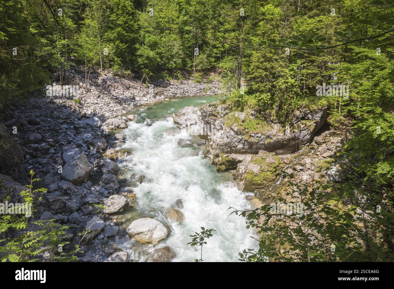 The Lammer creek is flowing fast through the Lammerklamm on a sunny ...