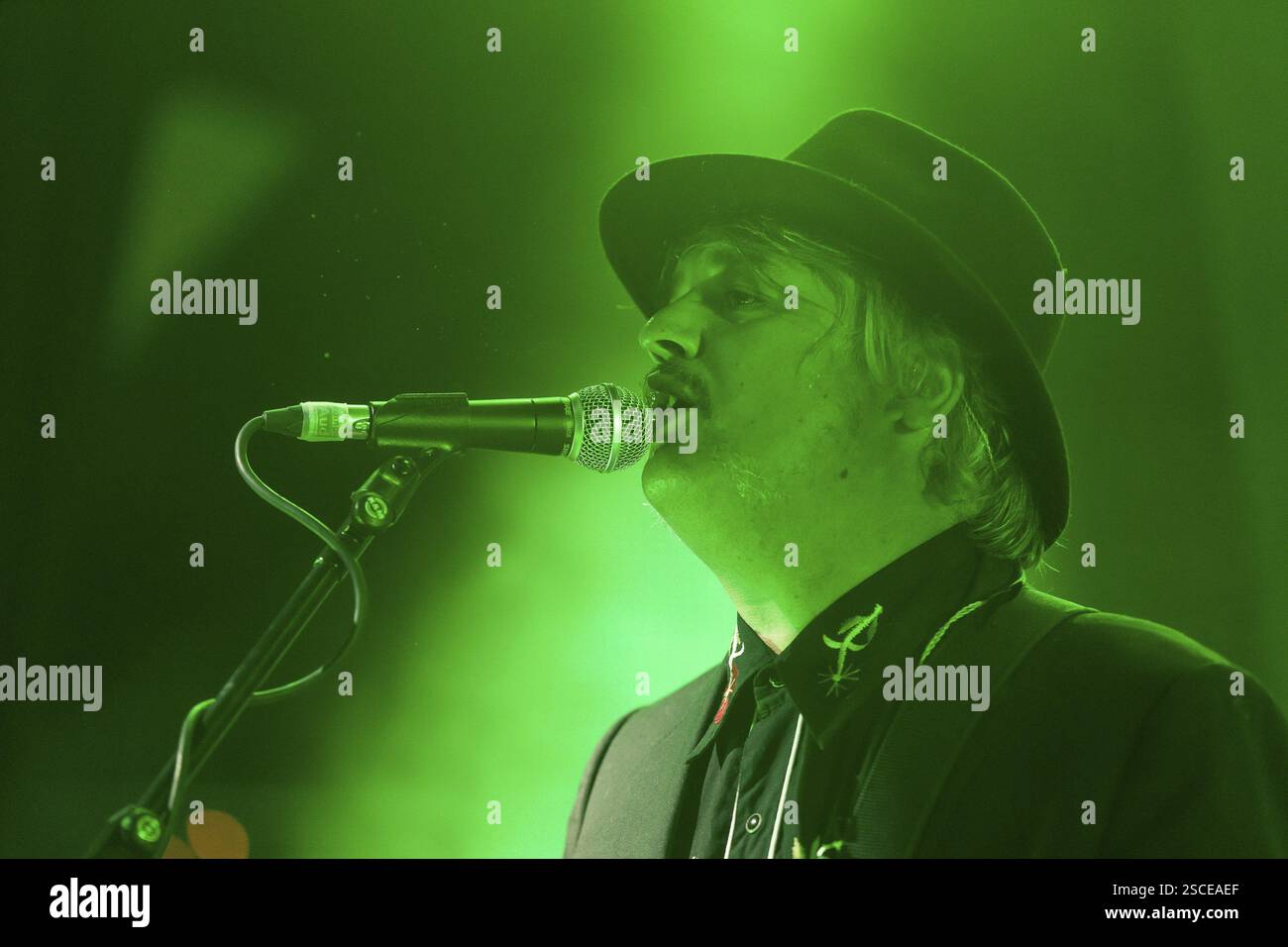 Pete Doherty, singer of The Libertines live on European Tour 2025 at ...