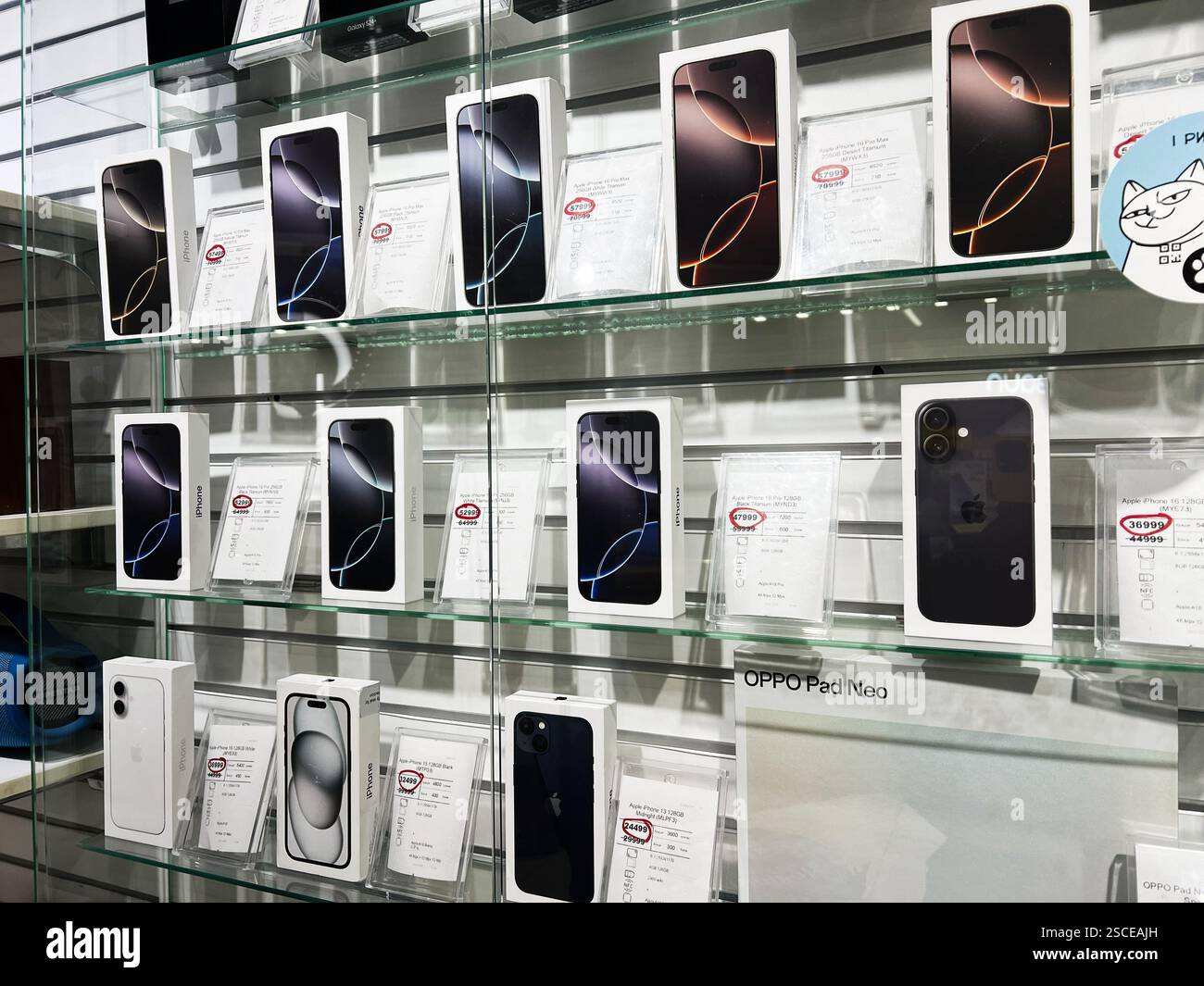 Kyiv, Ukraine - February 05, 2025: Various modern Iphone smartphones ...