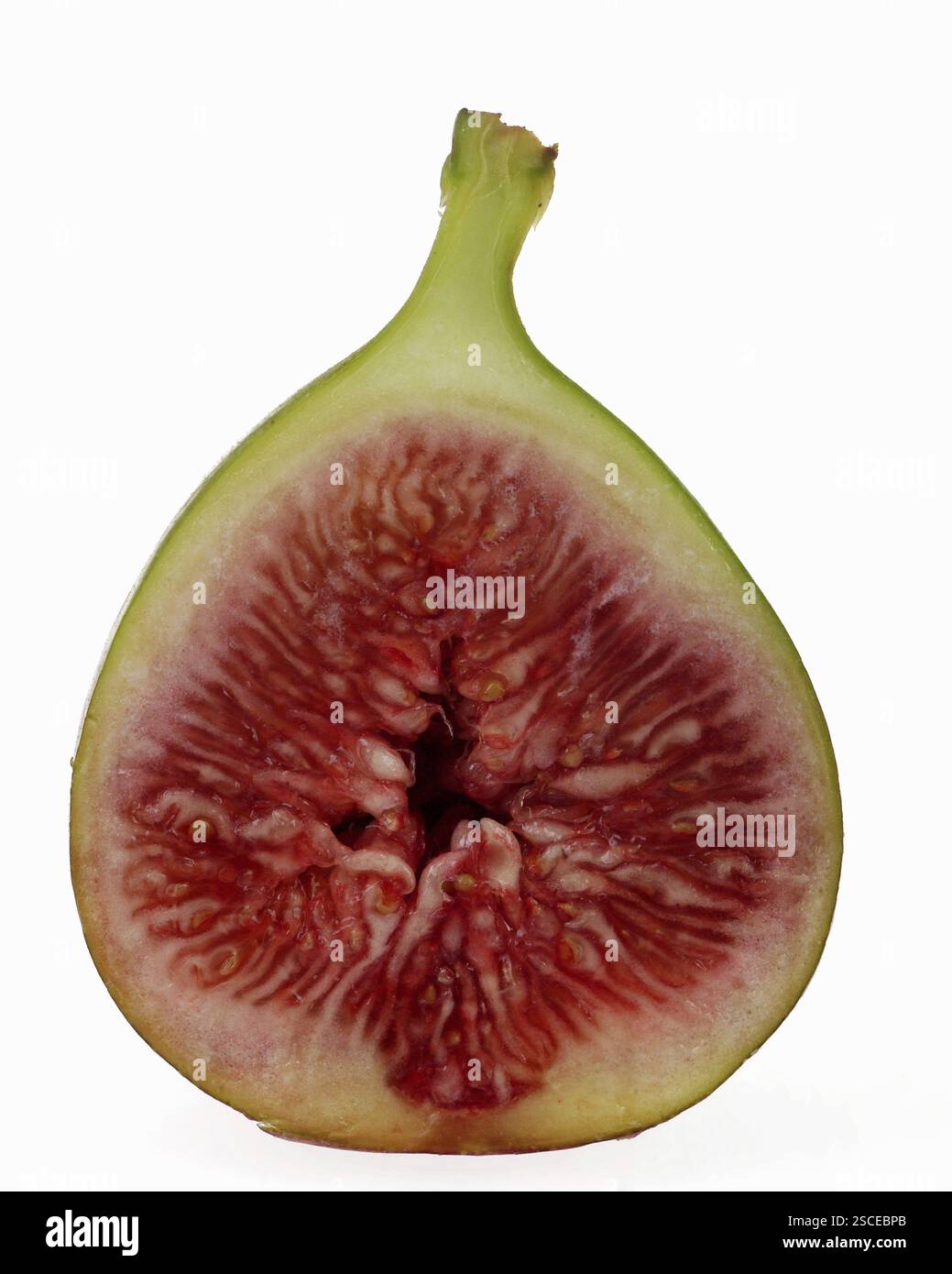 Fruit, Fig, Anjir, Green one half cut on white background Stock Photo ...