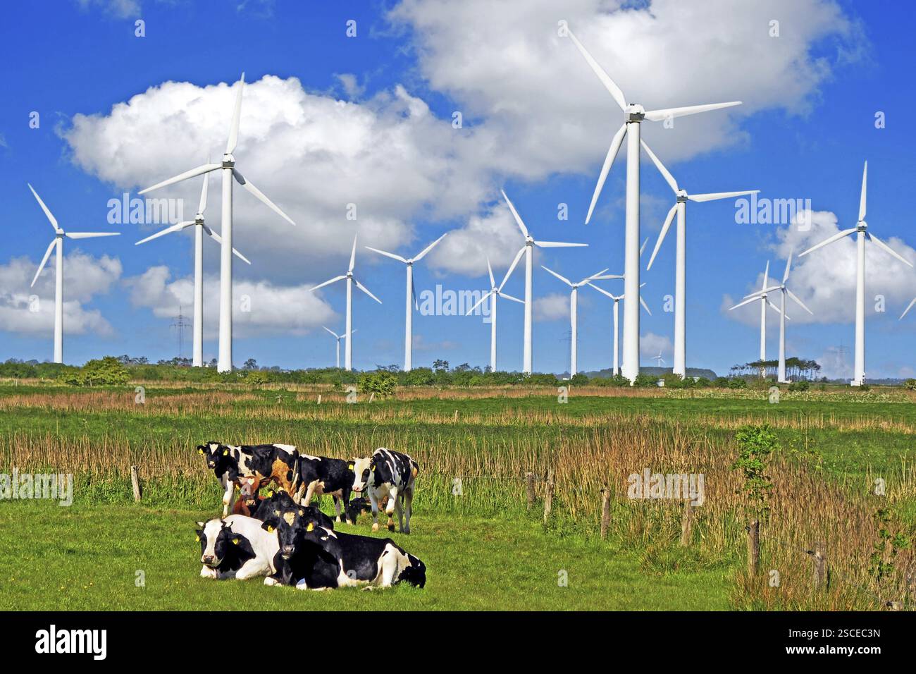 Photomontage, montage, (M), wind power plant, wind turbines, wind farm ...