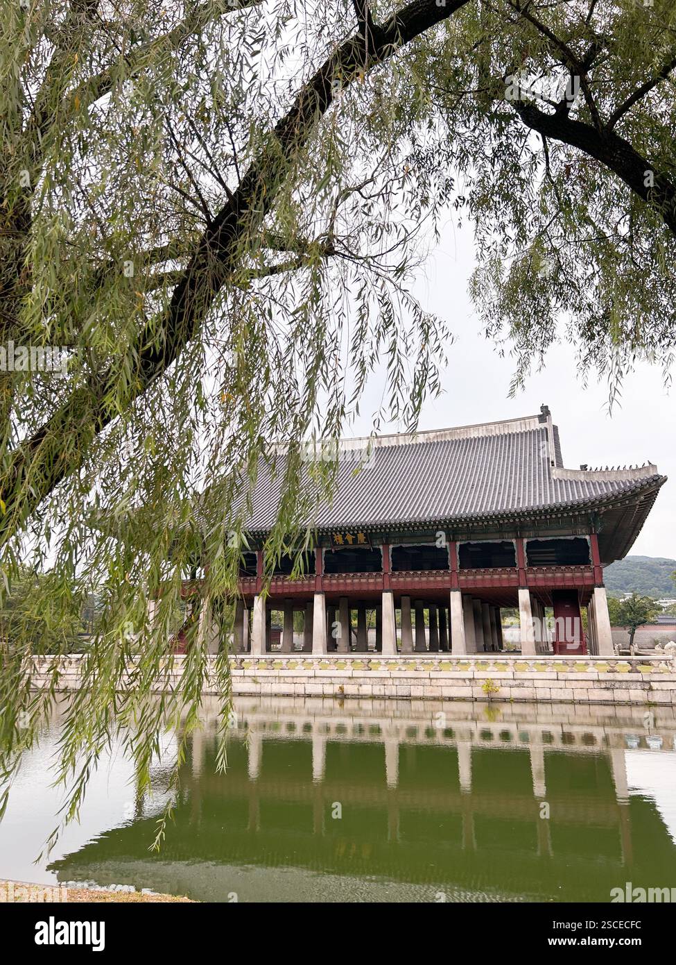 Willow Trees at Gyeongbokgung Palace | Seoul, South Korea Stock Photo ...