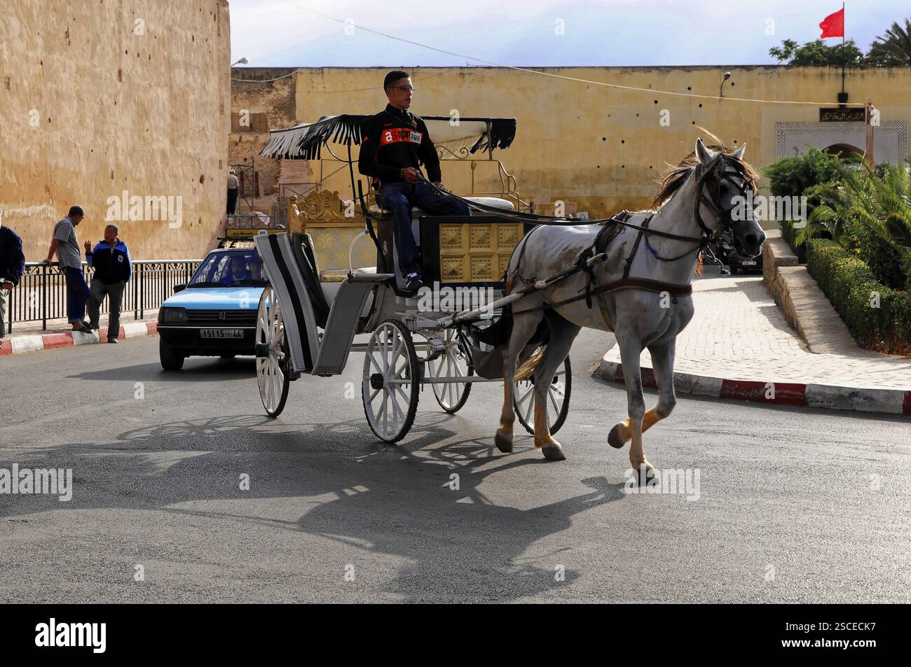 Meknes, Morocco, Africa, Man driving horse-drawn carriage on city ...