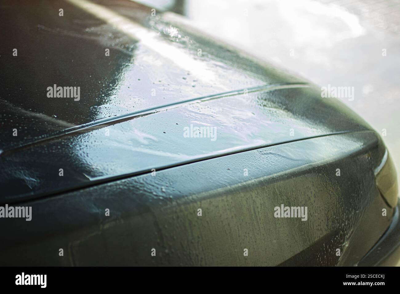 Car hood with glossy water reflection during a cleaning process Stock ...