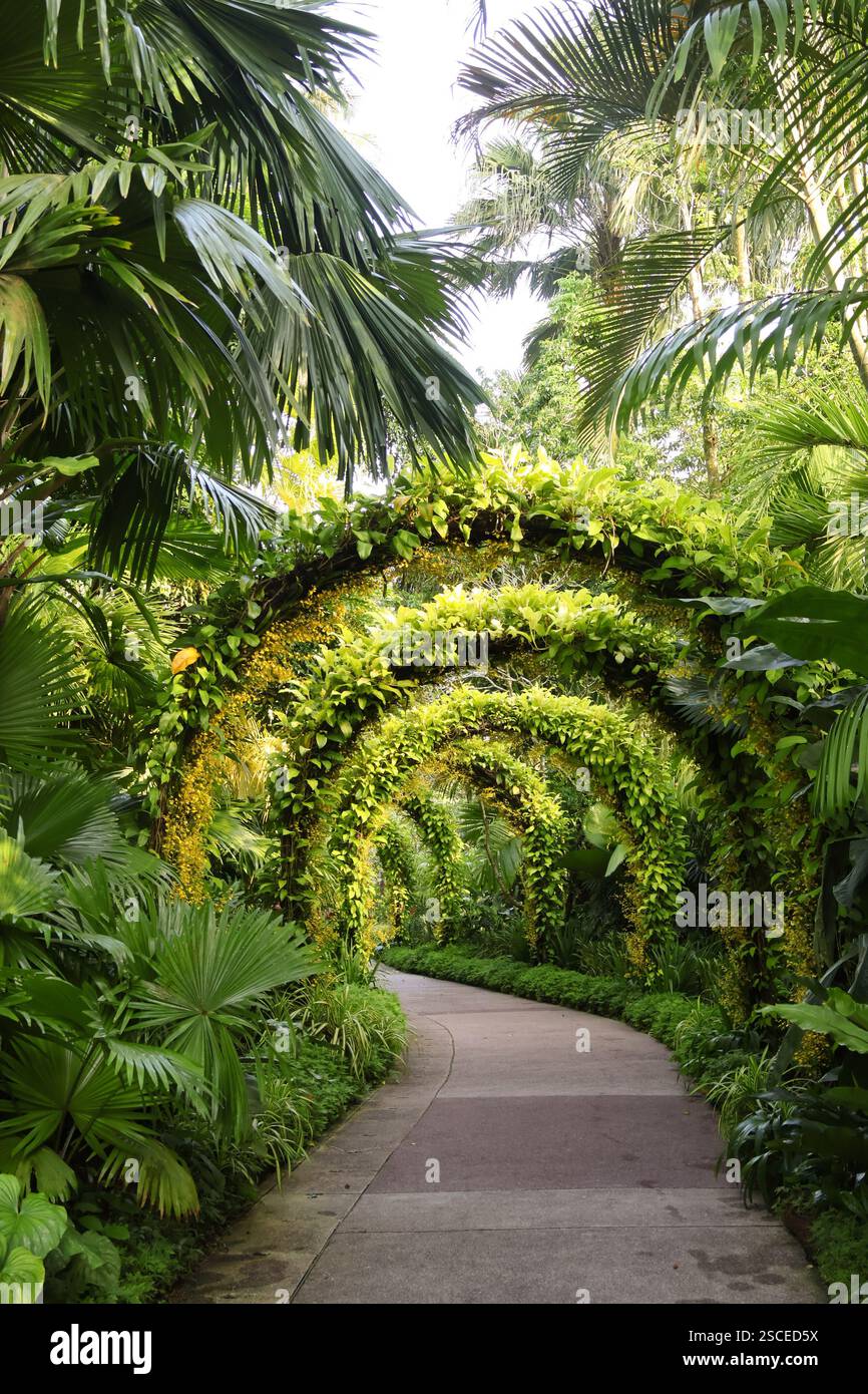 Arches greenery hi-res stock photography and images - Alamy