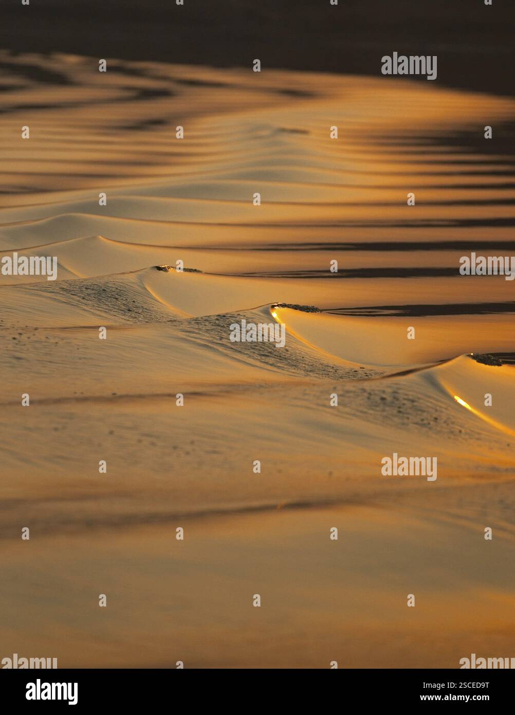 Abstract Chambal sunset waves, Chandratal lake water, Himachal Pradesh ...