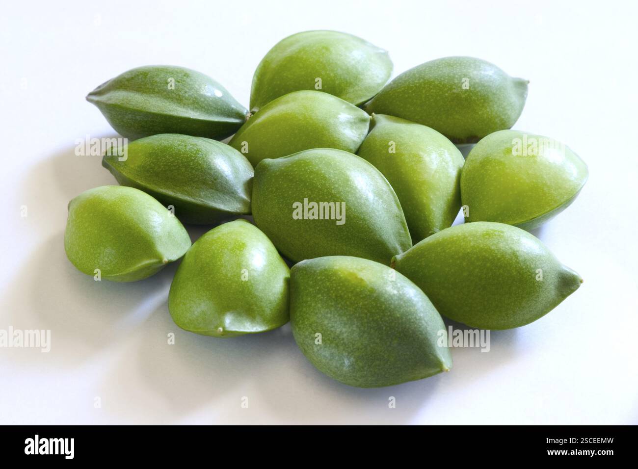 Fruit, one dozen green eye shaped almond badam Prunus dulcis on white ...