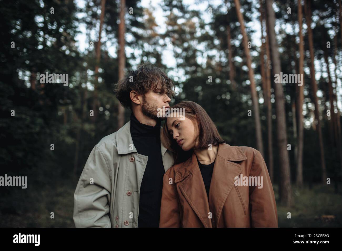 A serene scene of a couple embracing in a forest with expressive ...
