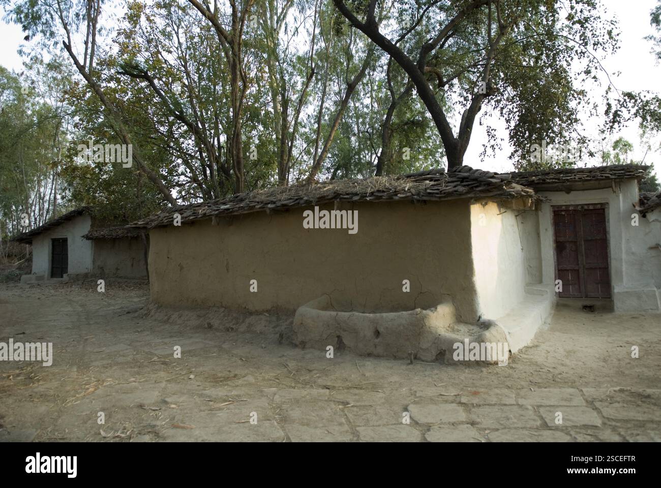 Village scene in Uttar Pradesh, India, Asia Stock Photo - Alamy