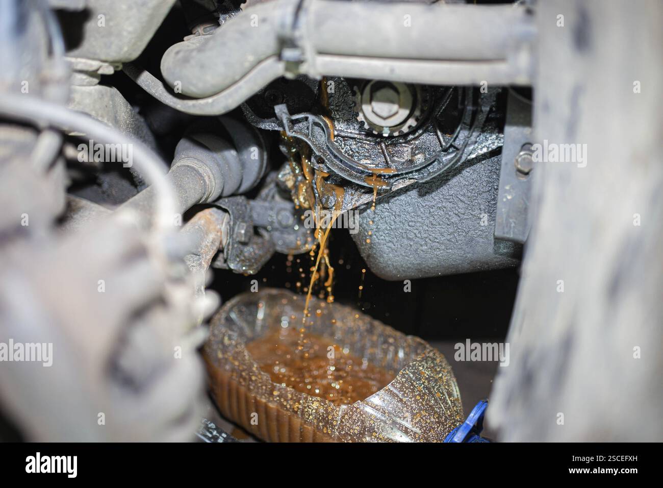 Oil leaking from a car's engine into a container during maintenance ...