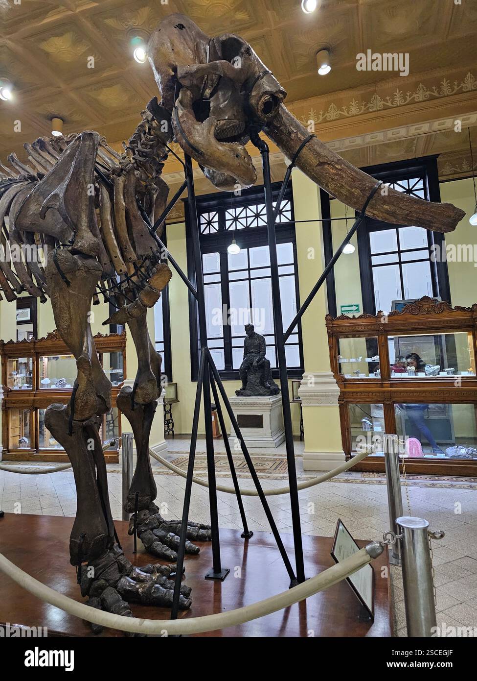 Mexico City, Mexico - Jan 31 2024: UNAM Geology Museum in CDMX houses ...