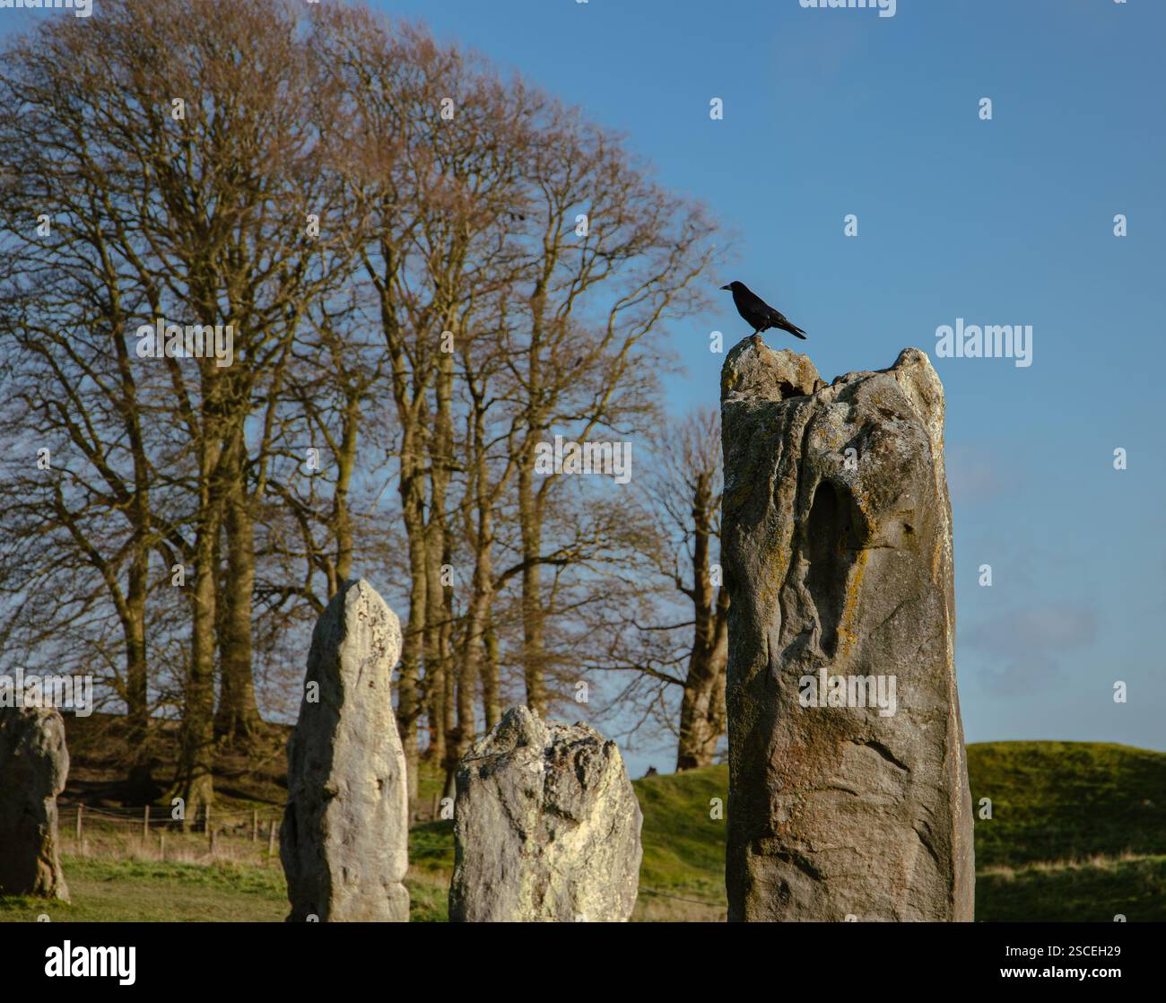 Avebury wiltshire crow hi-res stock photography and images - Alamy