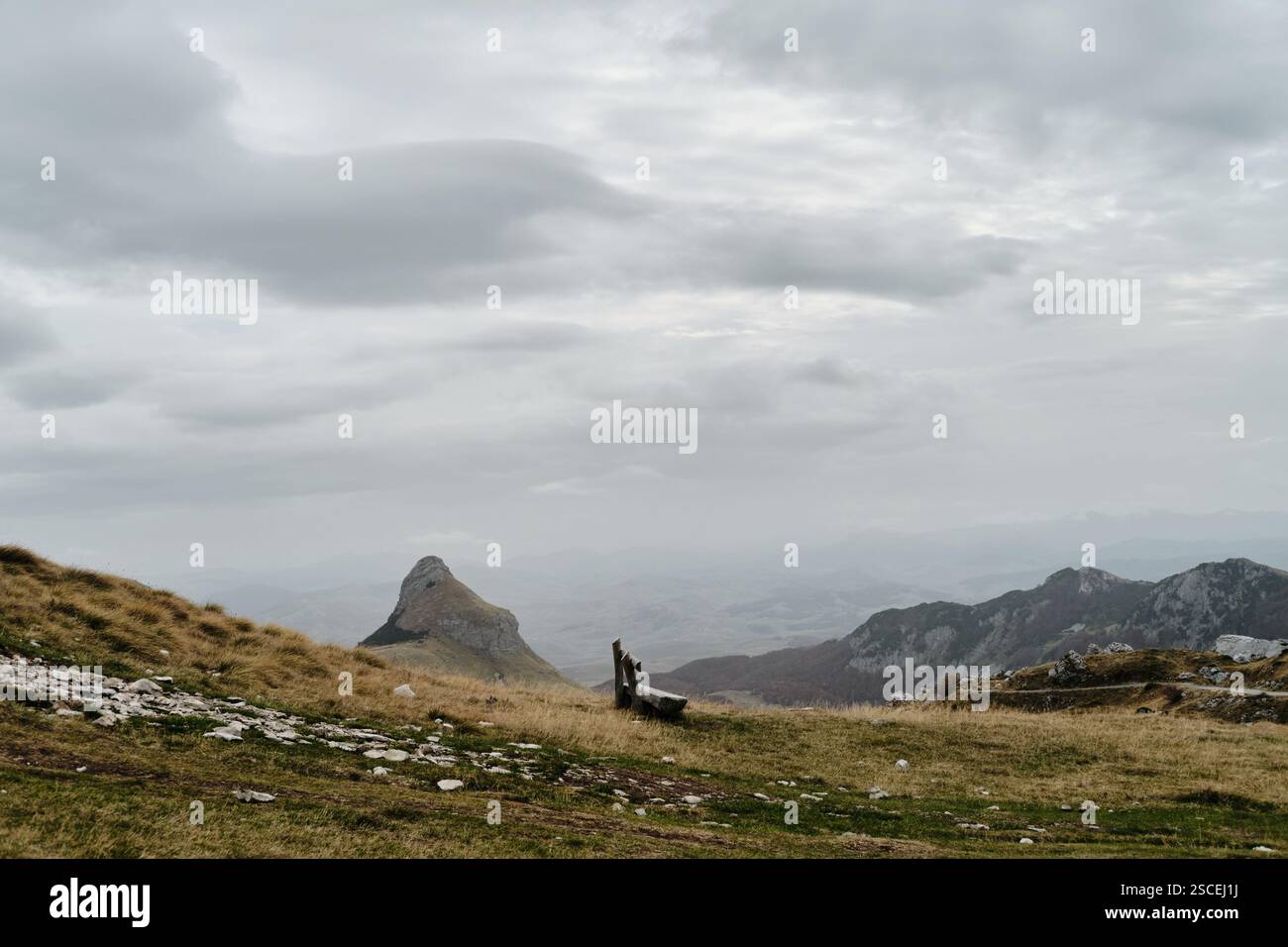 Montenegro country, Durmitor National Park. Saddle Pass. Alpine meadows ...