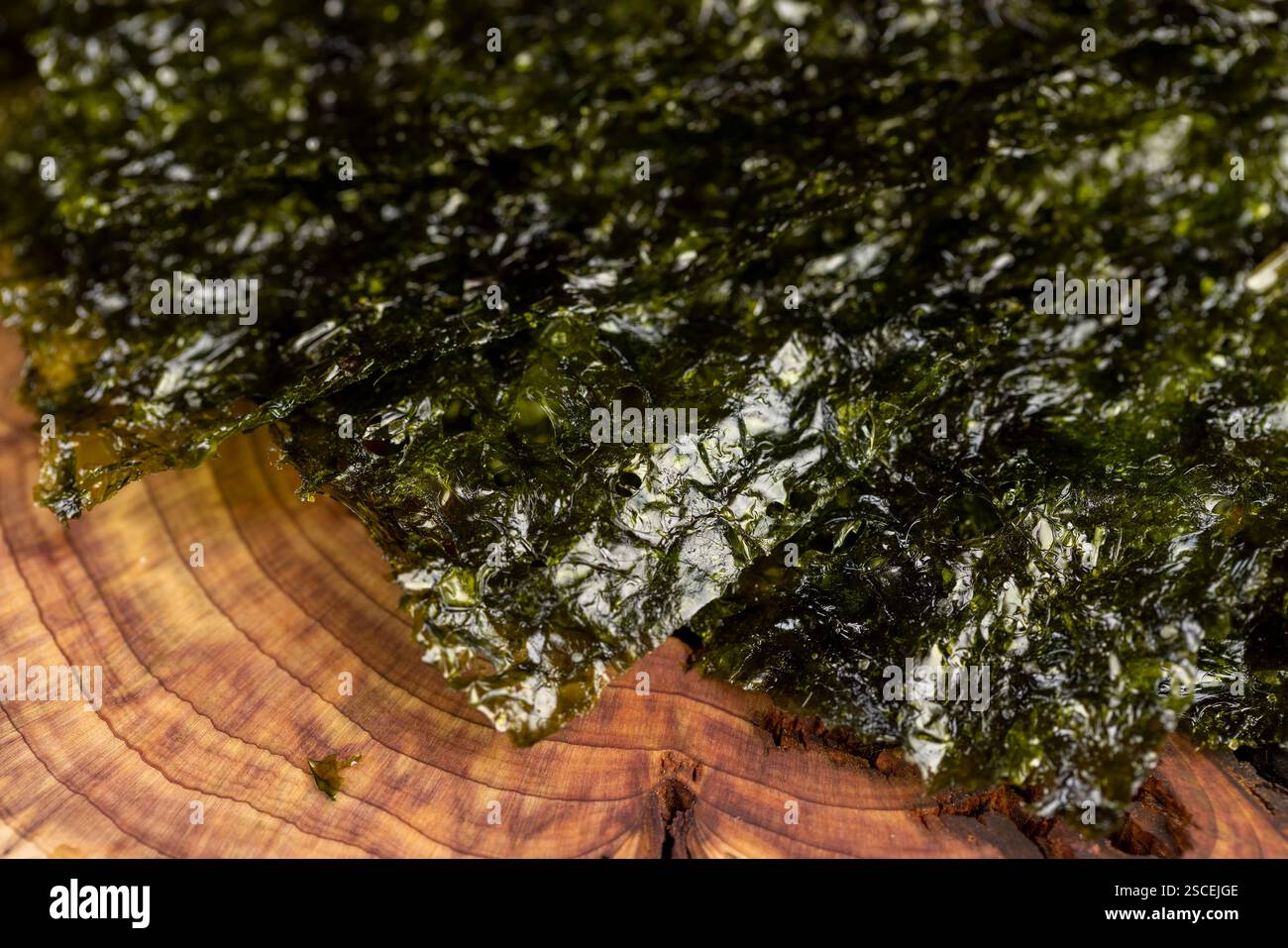 thin green algae, natural green algae that are used to prepare Japanese ...