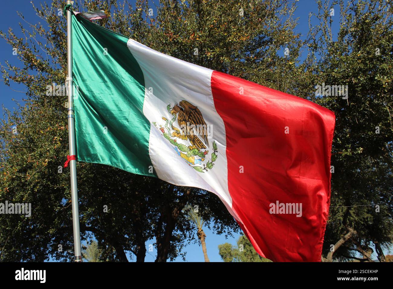 Arizona State Capital Protest on Feb 5th, 2025 Stock Photo - Alamy