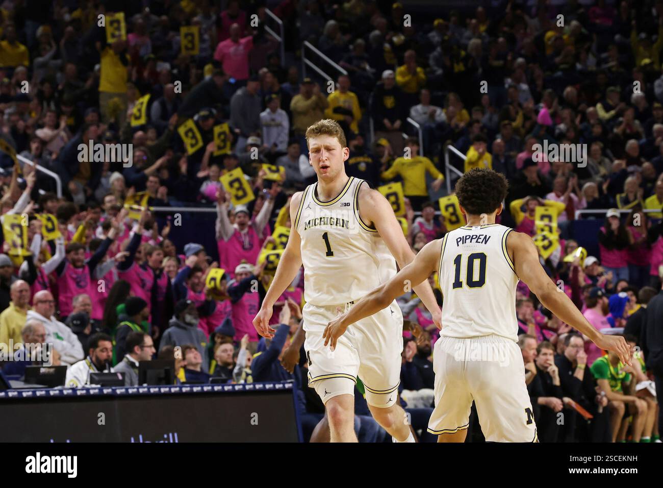 ANN ARBOR, MI - FEBRUARY 05: Michigan Wolverines forward Danny Wolf (1 ...