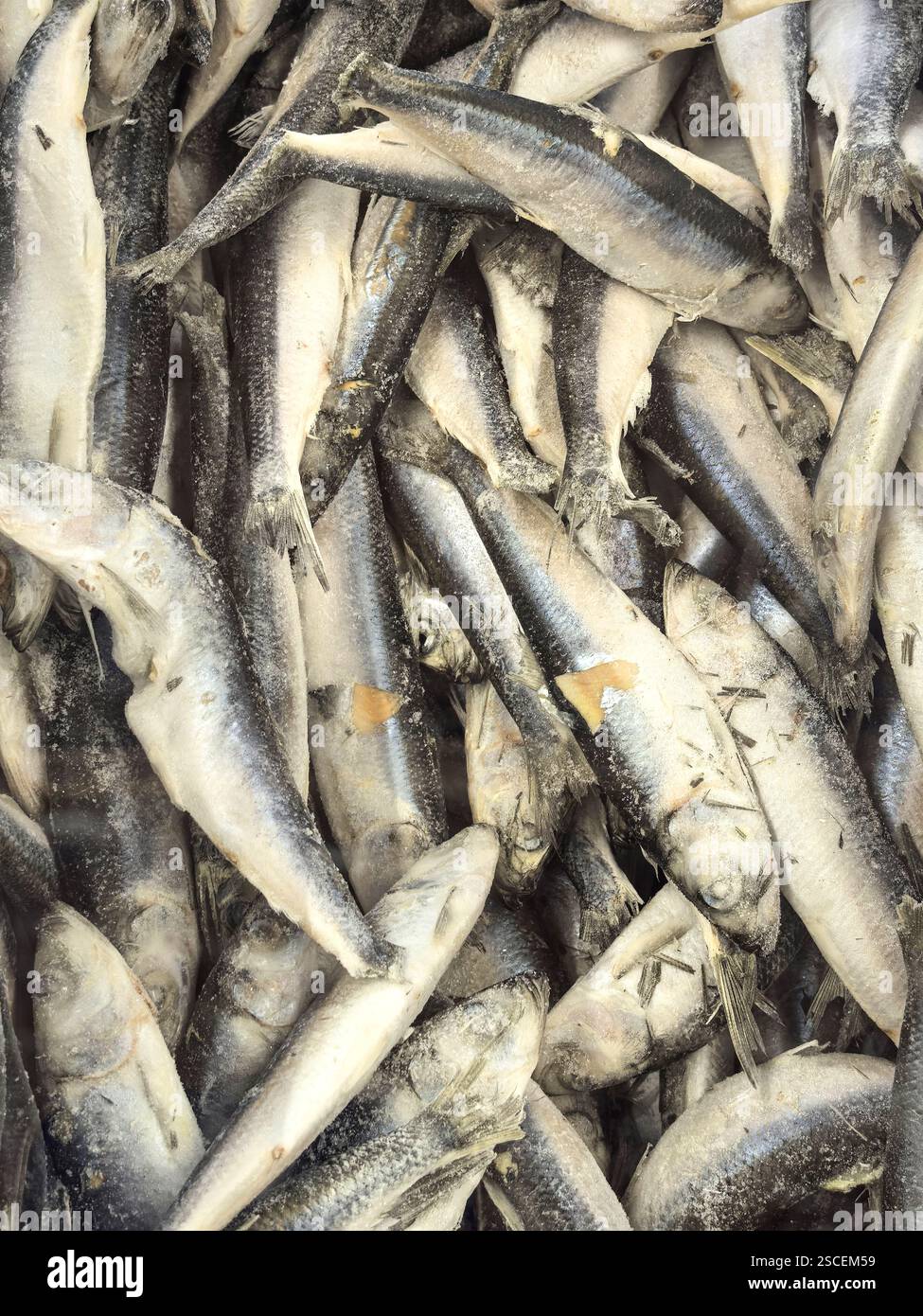A lively morning at the local market showcases an array of freshly ...