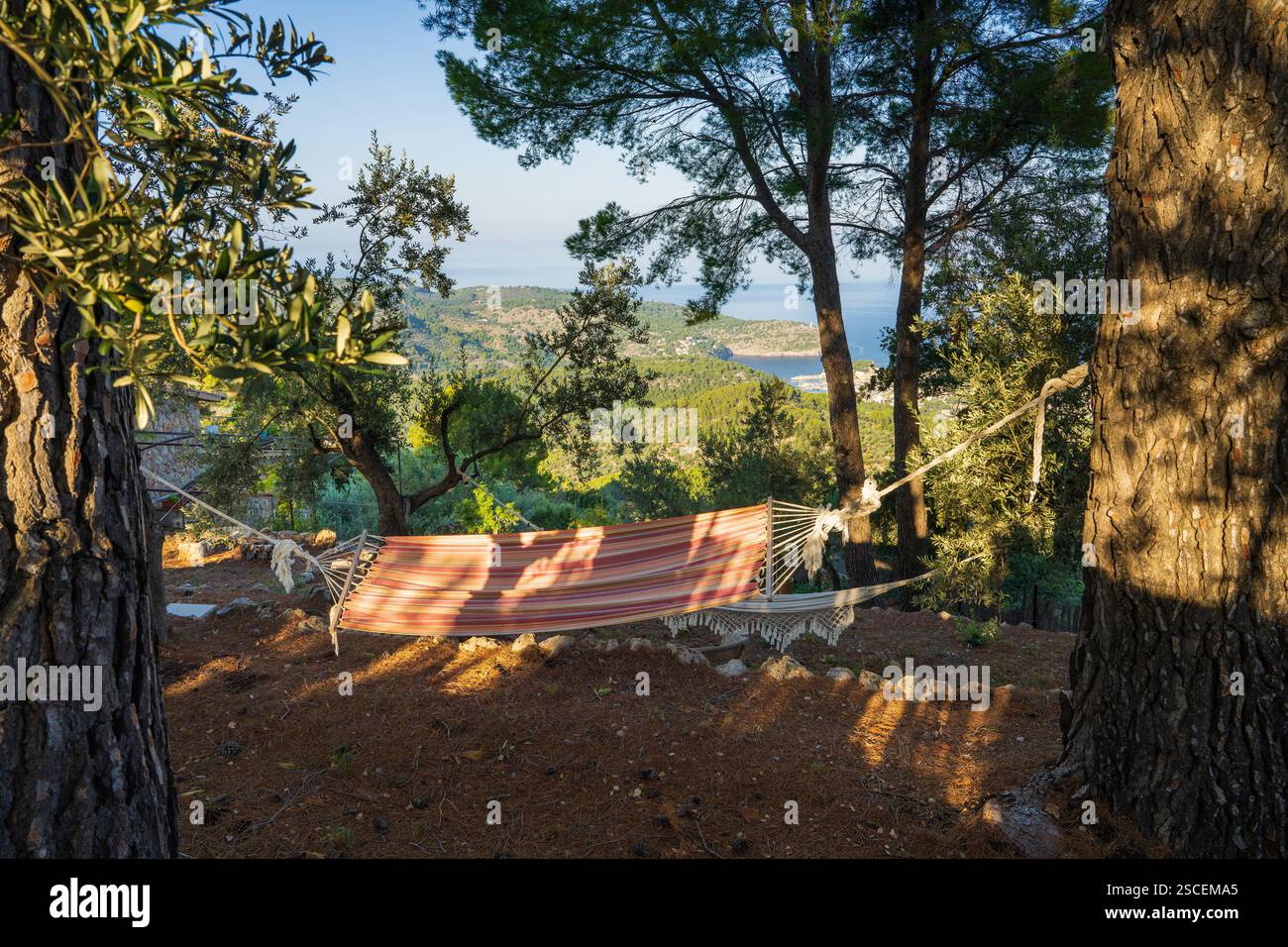 Cozy hammock stretched between trees overlooks scenic harbor Port de ...