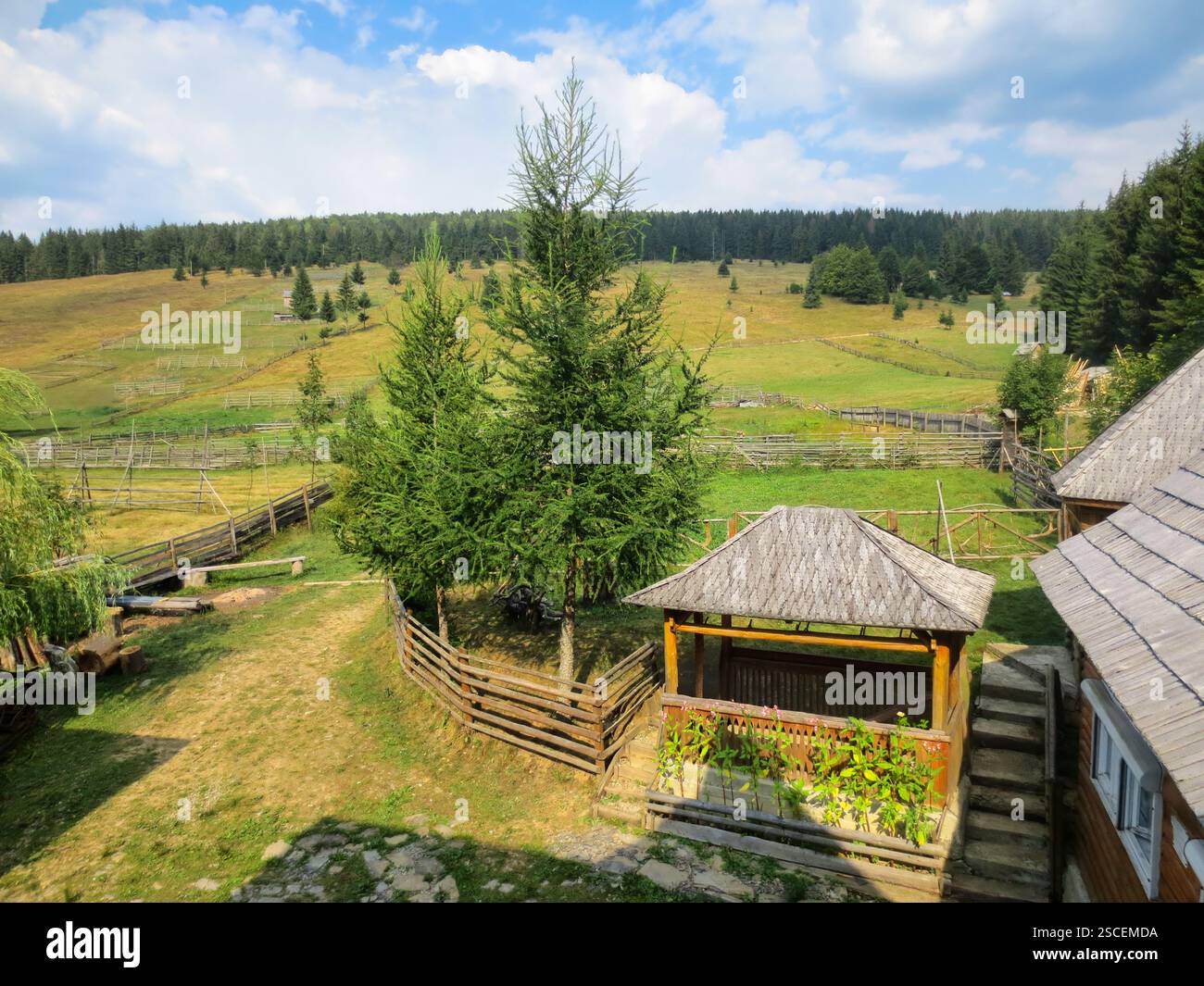 yard traditional wooden houses in Transylvania, pine trees, landscape ...