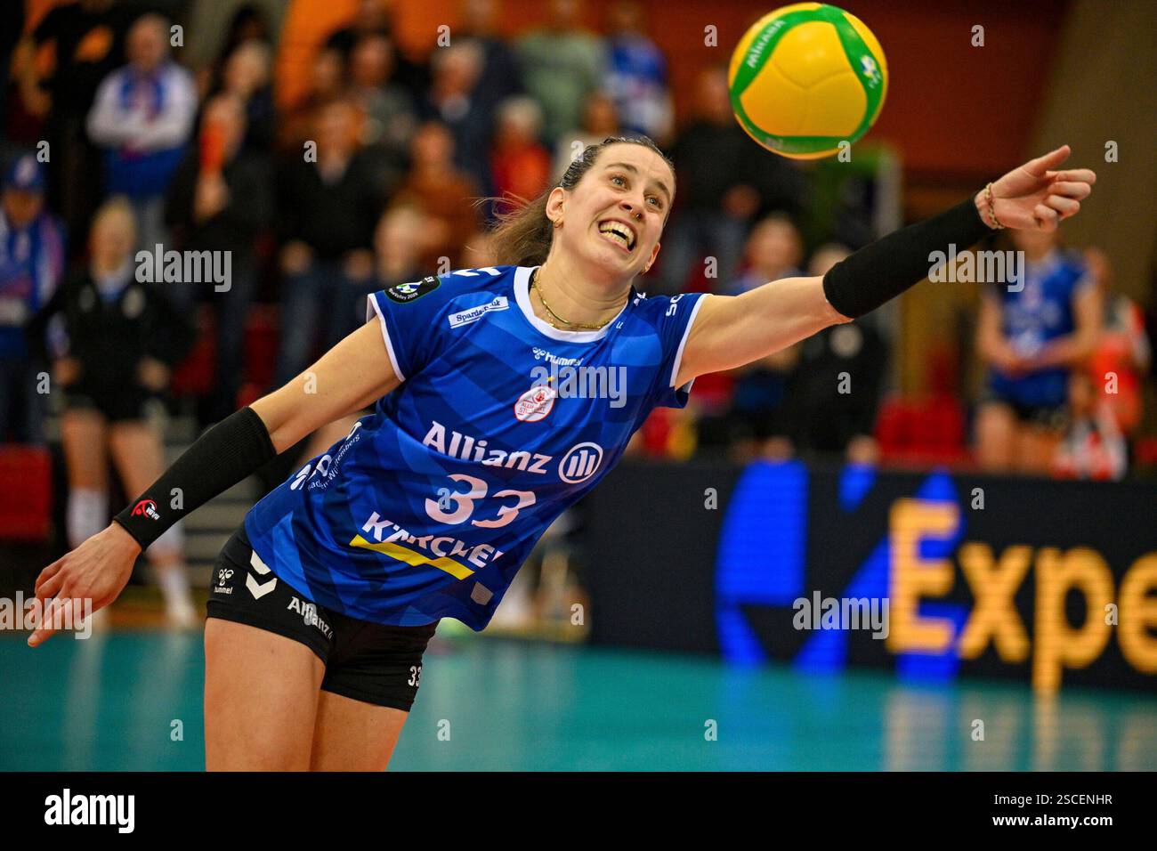CEV, ChampionsLeague, Volleyball, Damen, Saison 2024/25, Allianz MTV ...