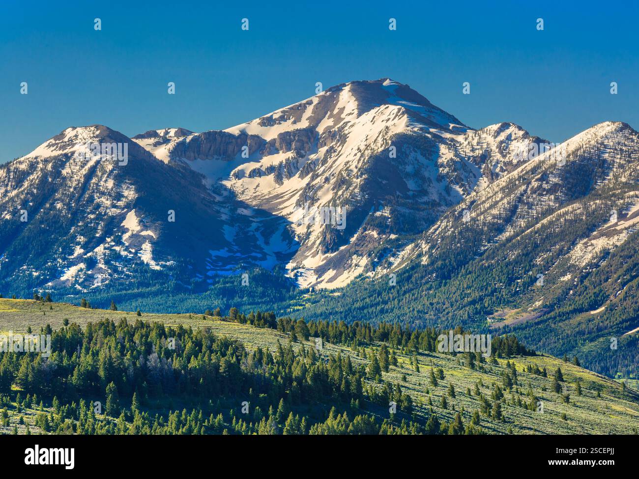 mount jefferson in the centennial range above red rock pass near ...