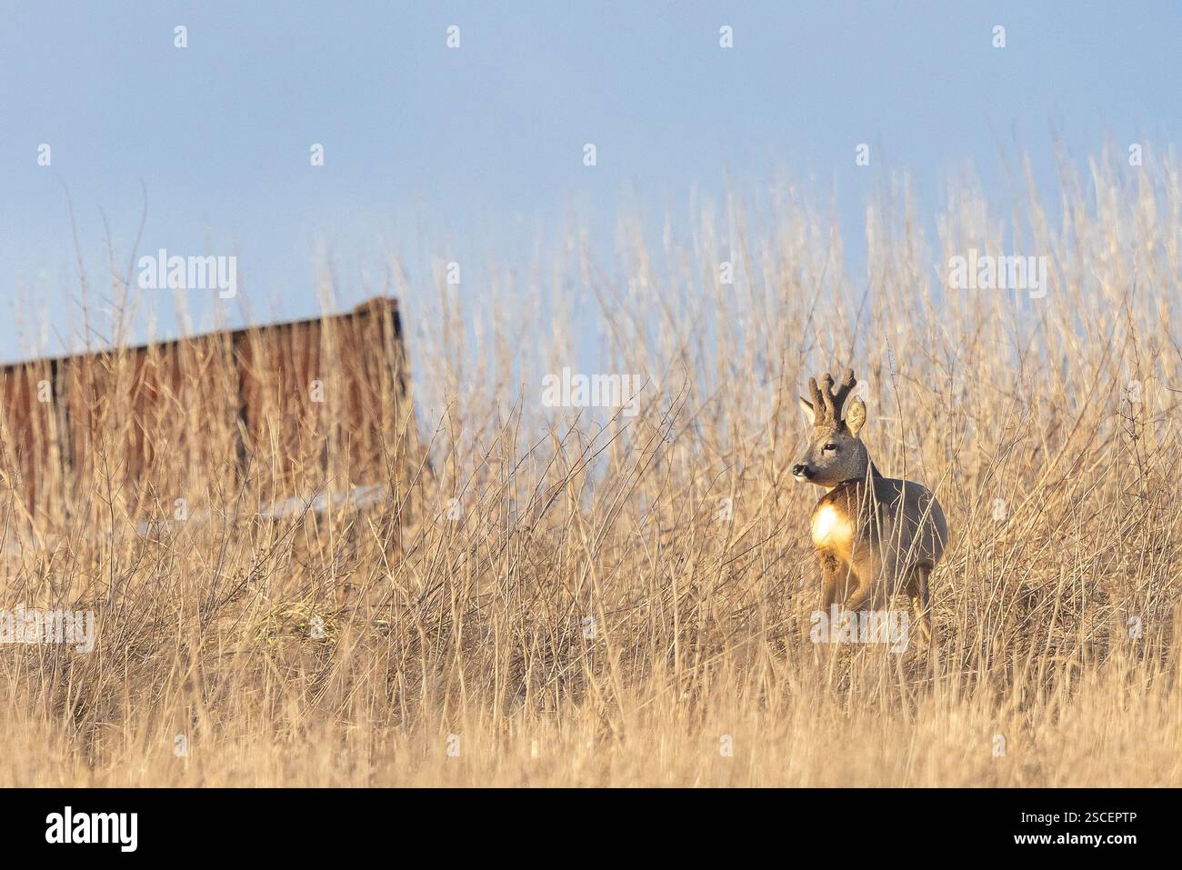 Gloucester, UK. 6th February, 2025. UK weather: as the glorious, sun ...