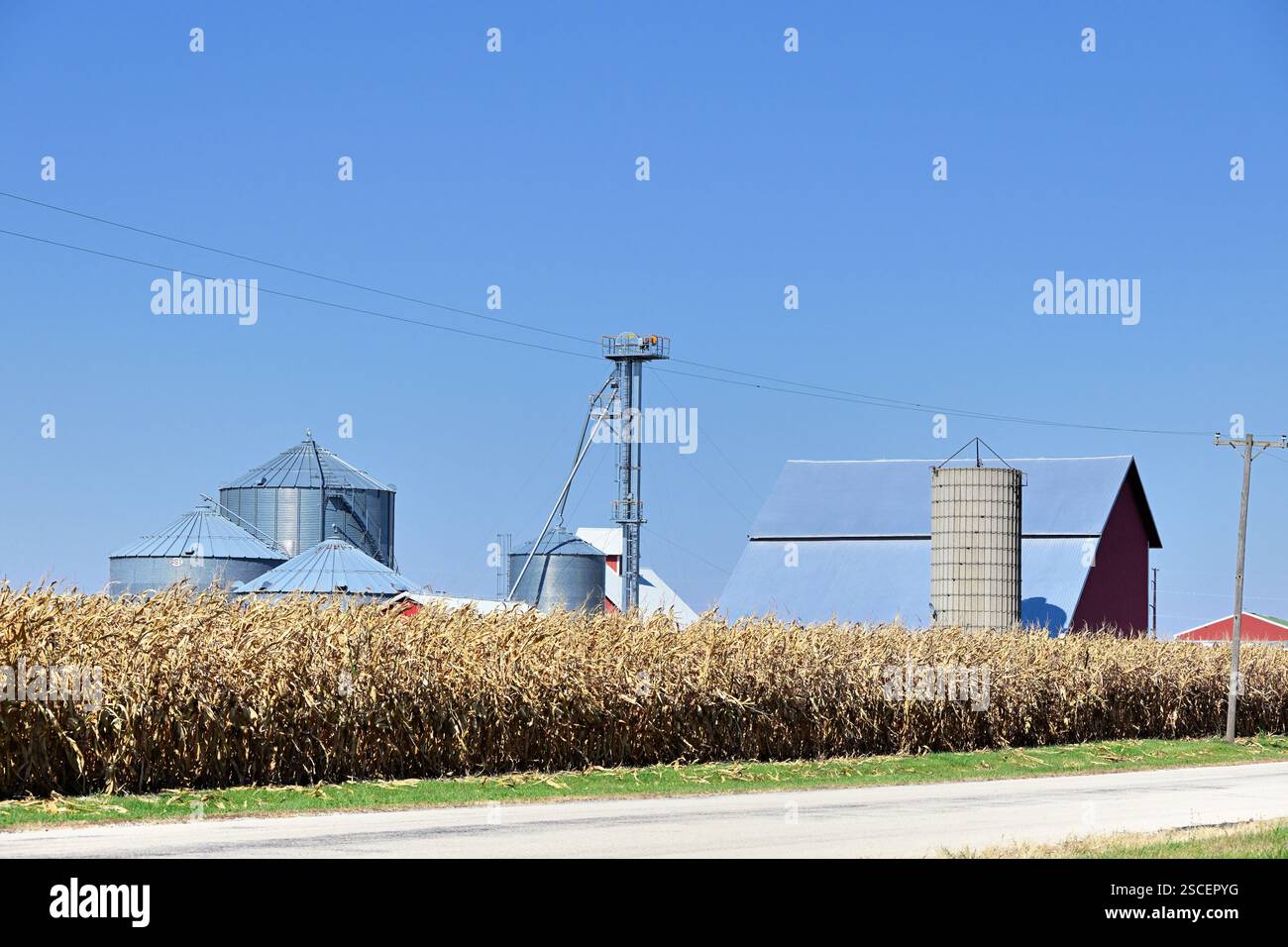 Lee, Illinois, USA. Barns and steel storage silos sit beyond a mature ...